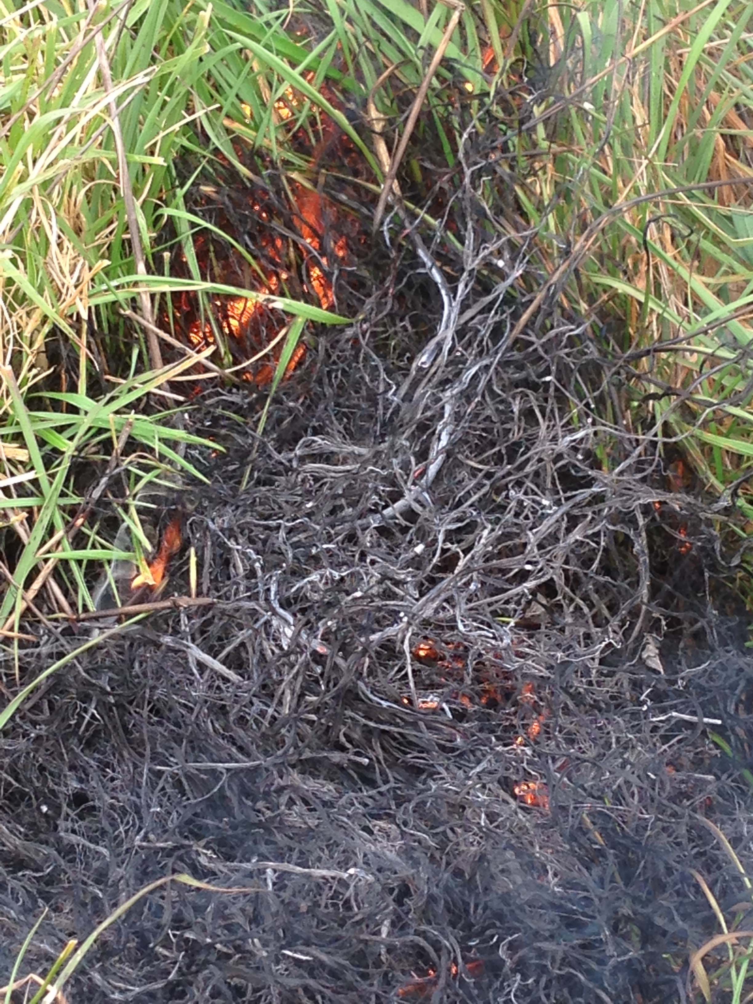 LITTLE BUSHFIRES – One Bend In The River