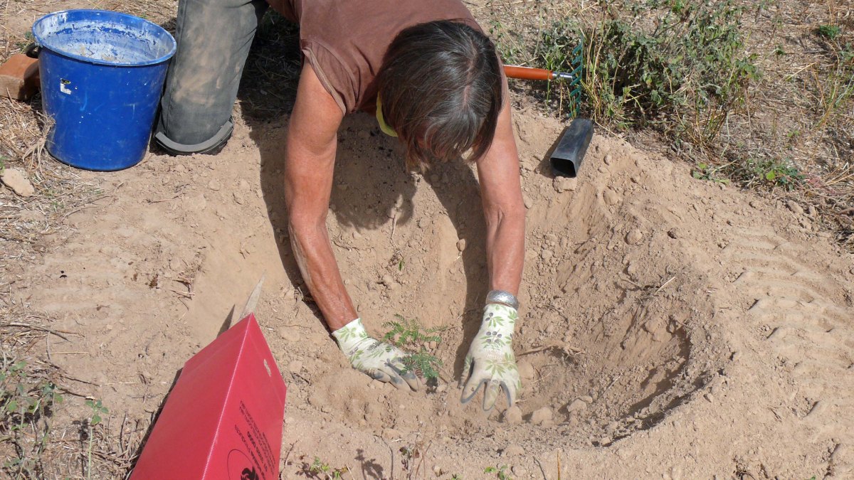 PLANTING IN DRY GROUND – One Bend In The River
