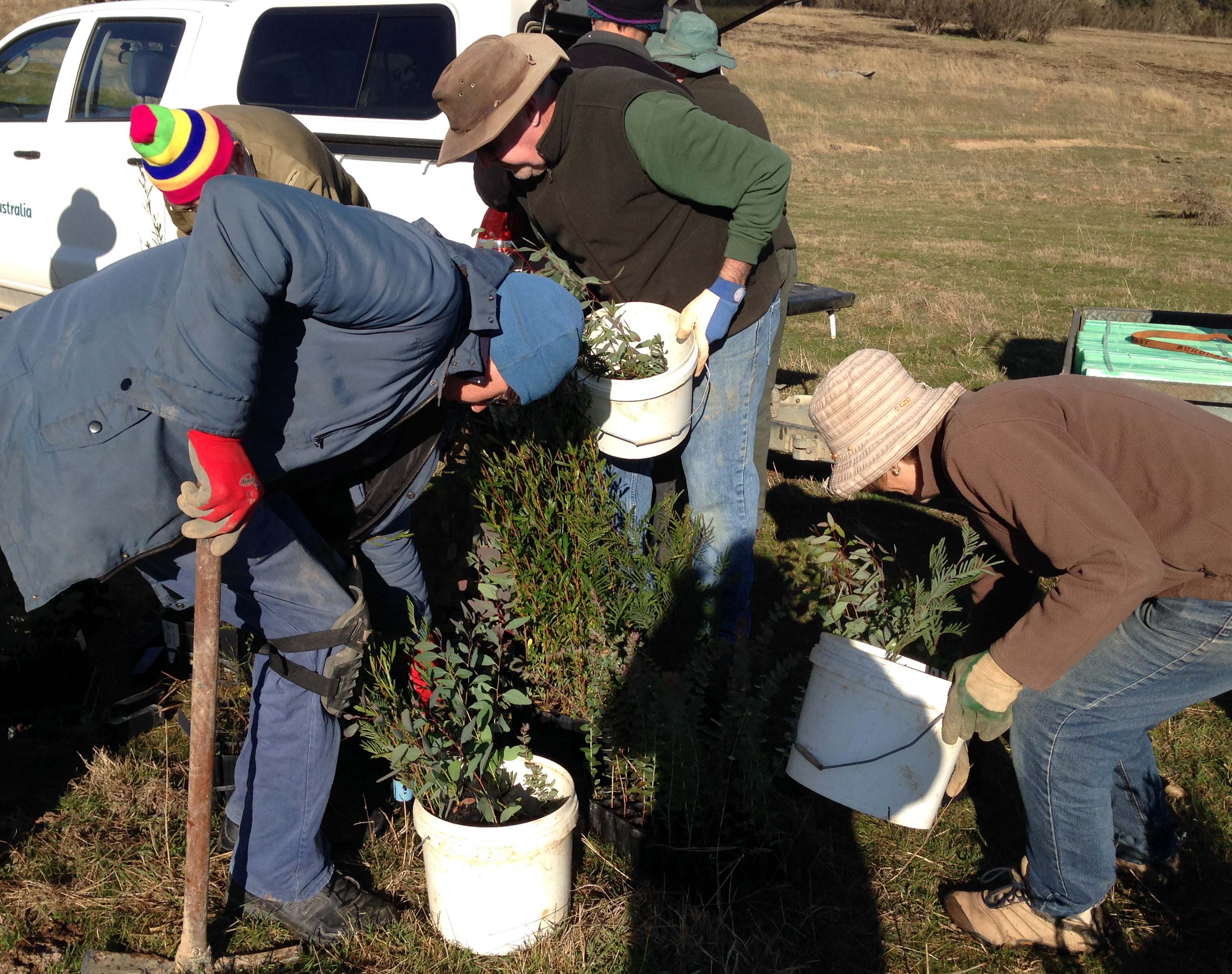 RIPPING INTO OUR PROBLEM PADDOCK – One Bend In The River