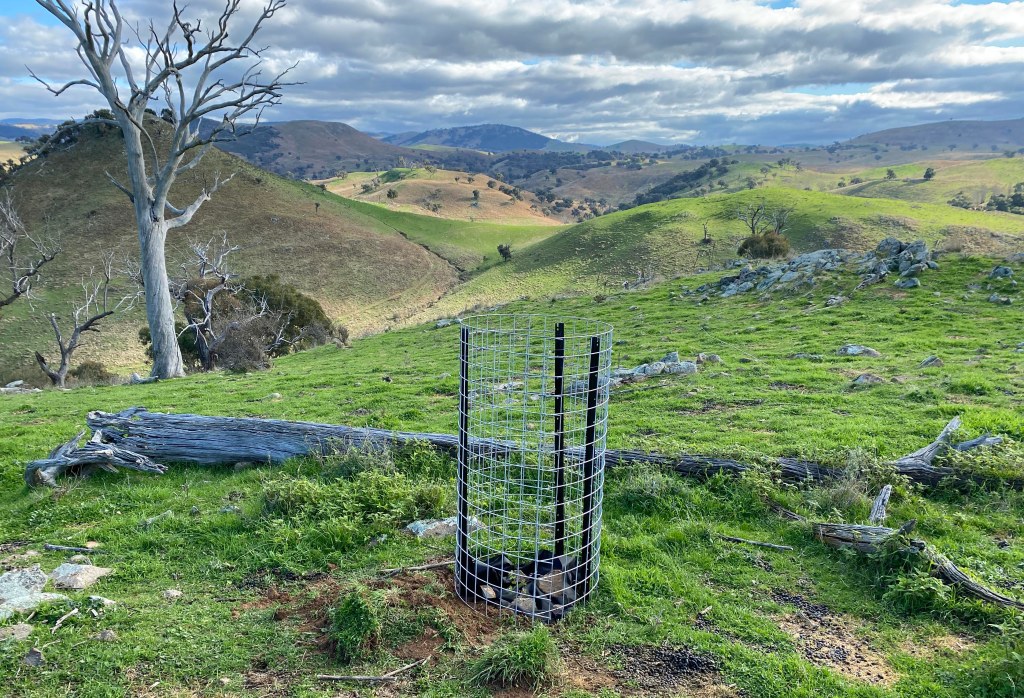 PADDOCK TREES – One Bend In The River