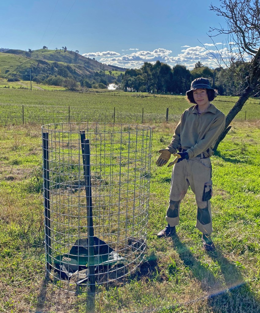 PADDOCK TREES – One Bend In The River